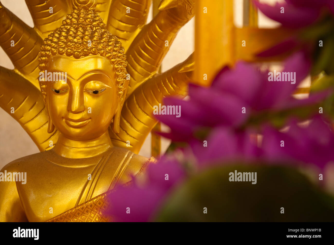 Gerd hi-res stock photography and images - Alamy