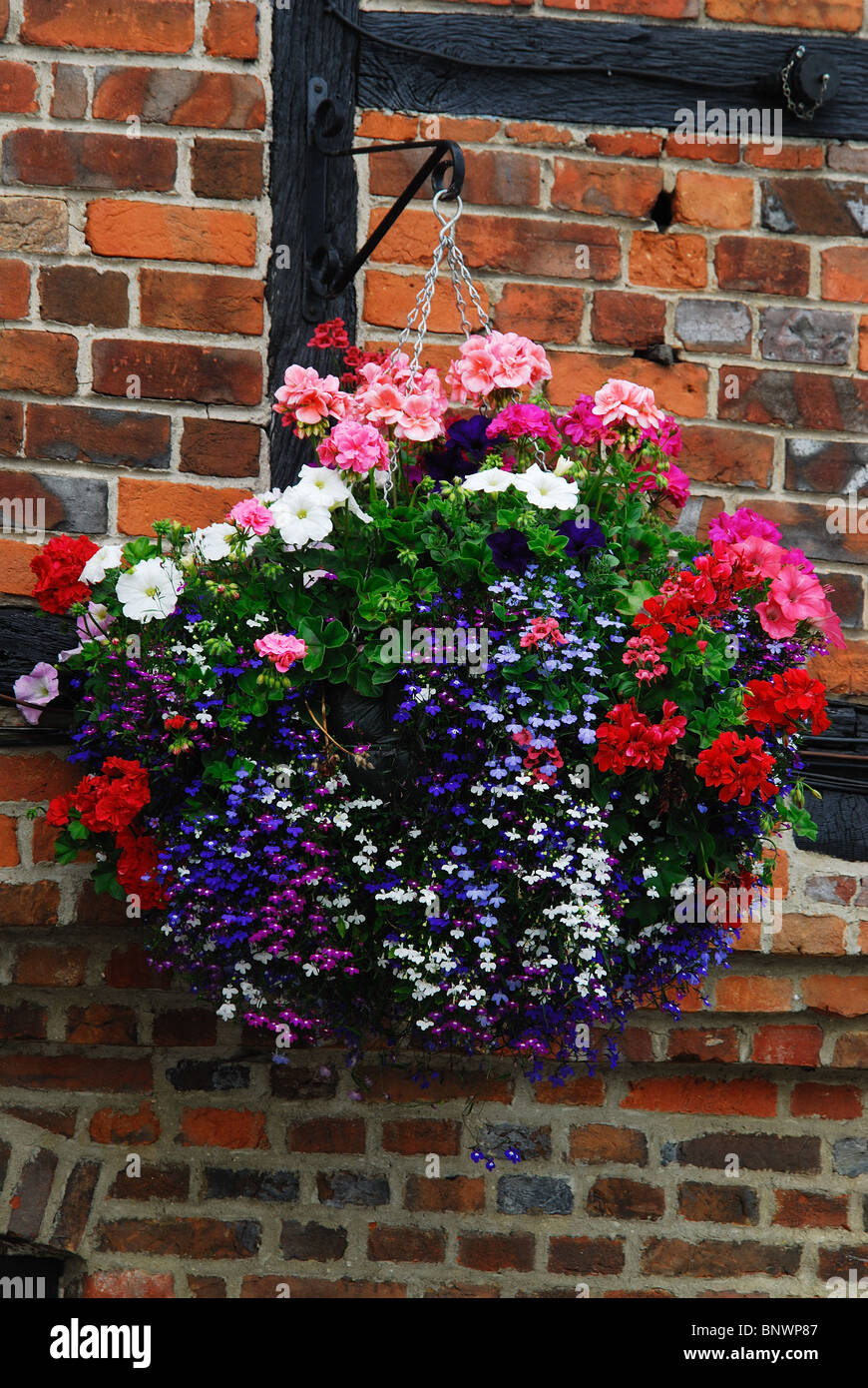 A colourful hanging basket in front of a brick wall Stock Photo - Alamy