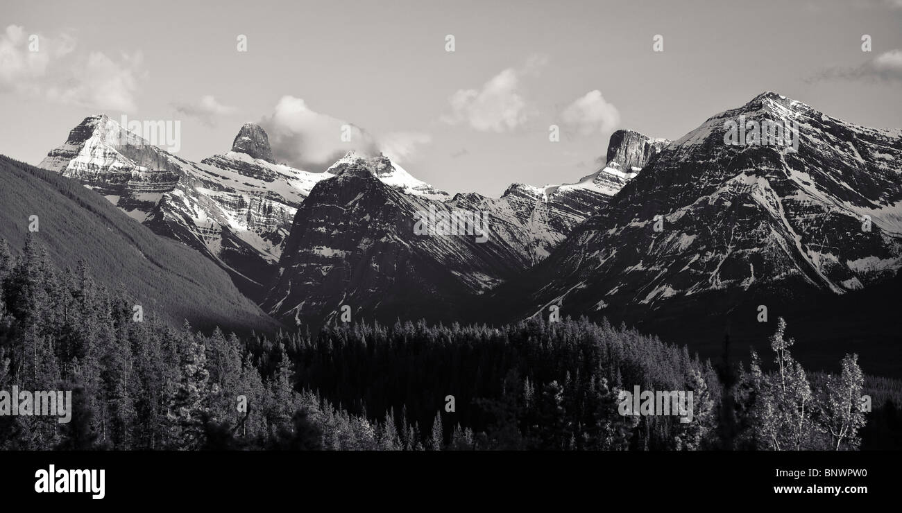 Mount Christie from Anthabasca Valley and Icefields Parkway Jasper ...