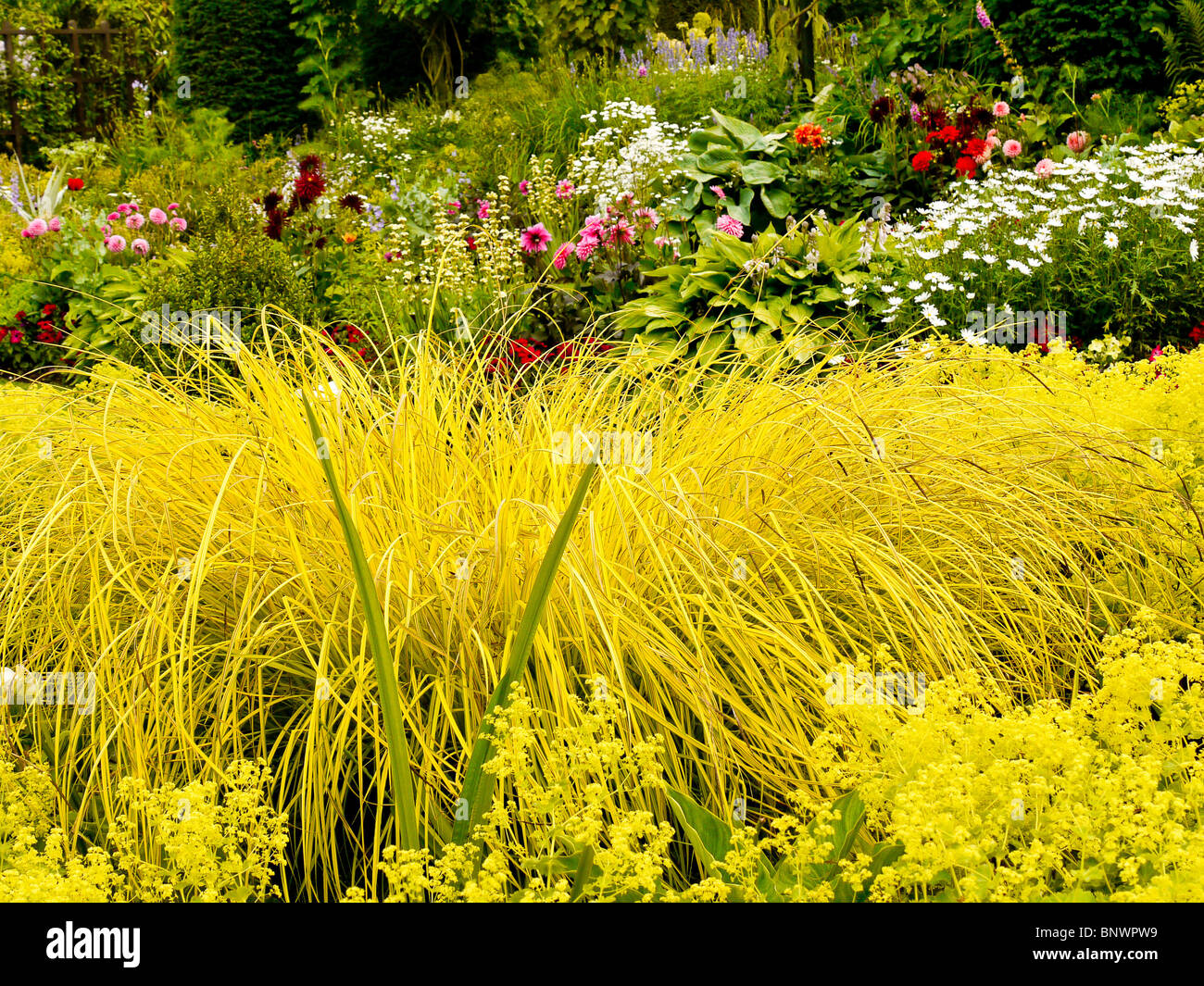 Floral ornamental gardens hi-res stock photography and images - Alamy