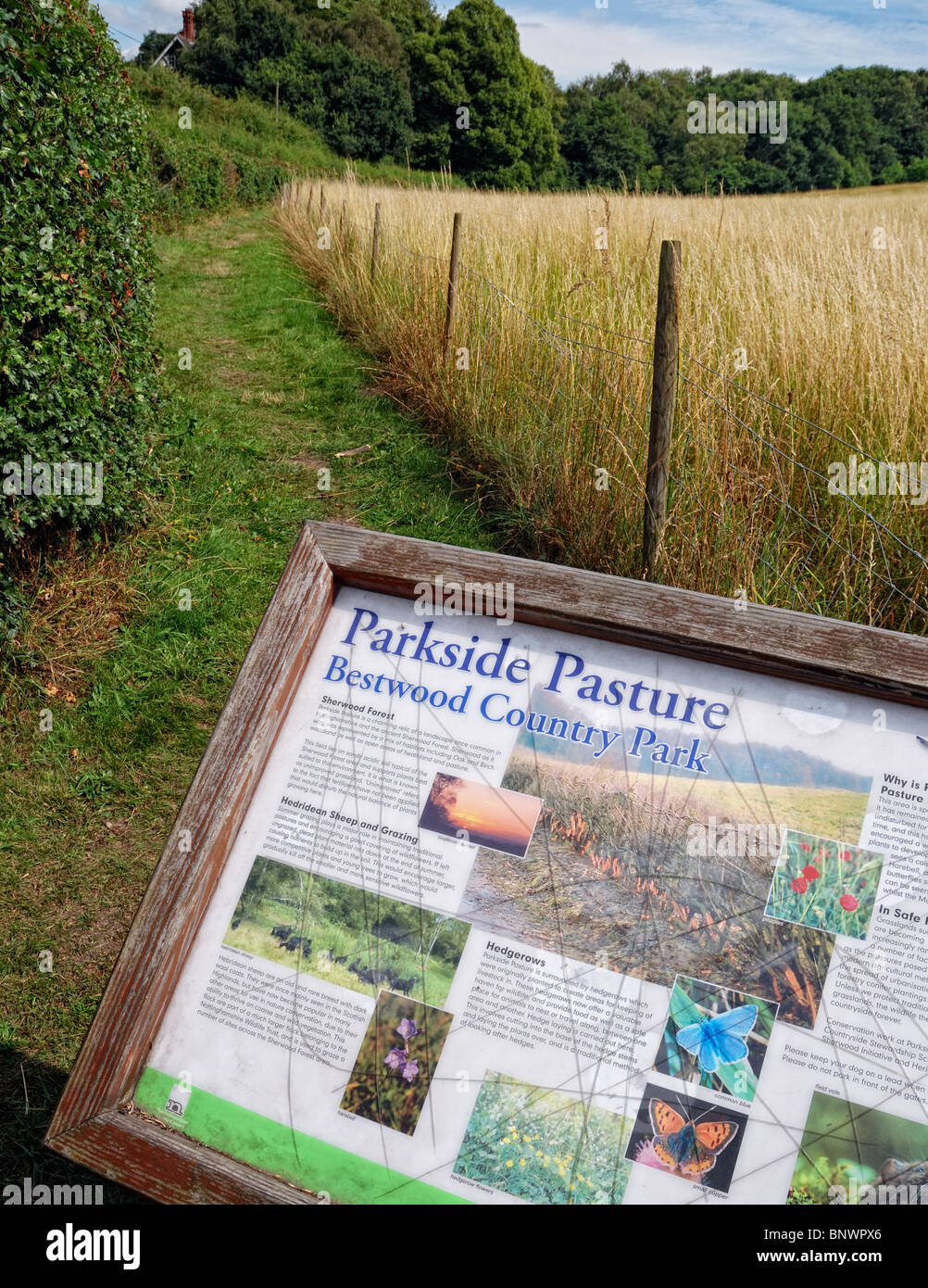 Bestwood country park information sign Stock Photo - Alamy