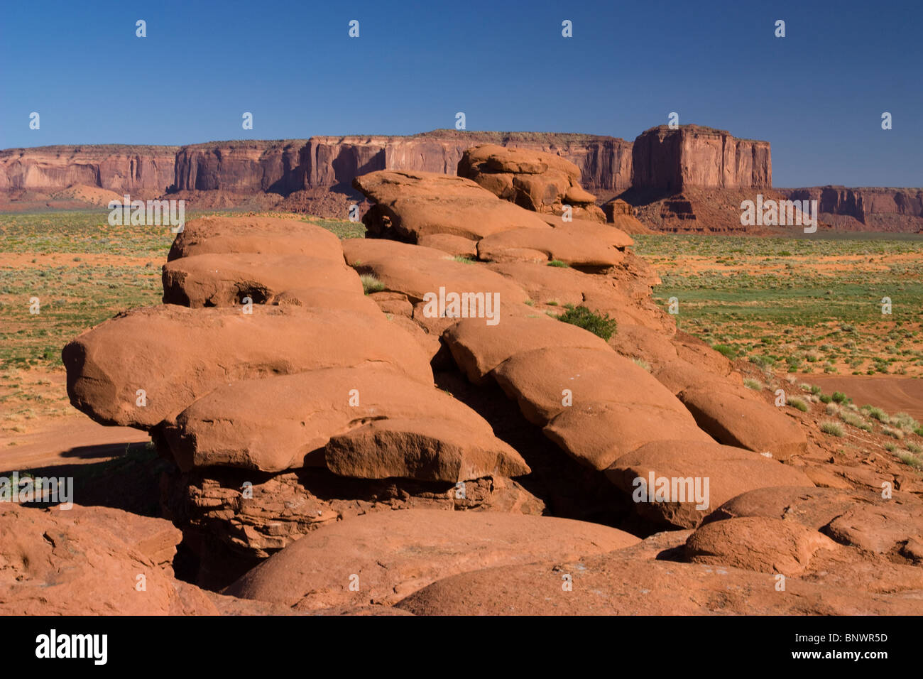 landscape view of the famous monument valley national park in Utah USA ...