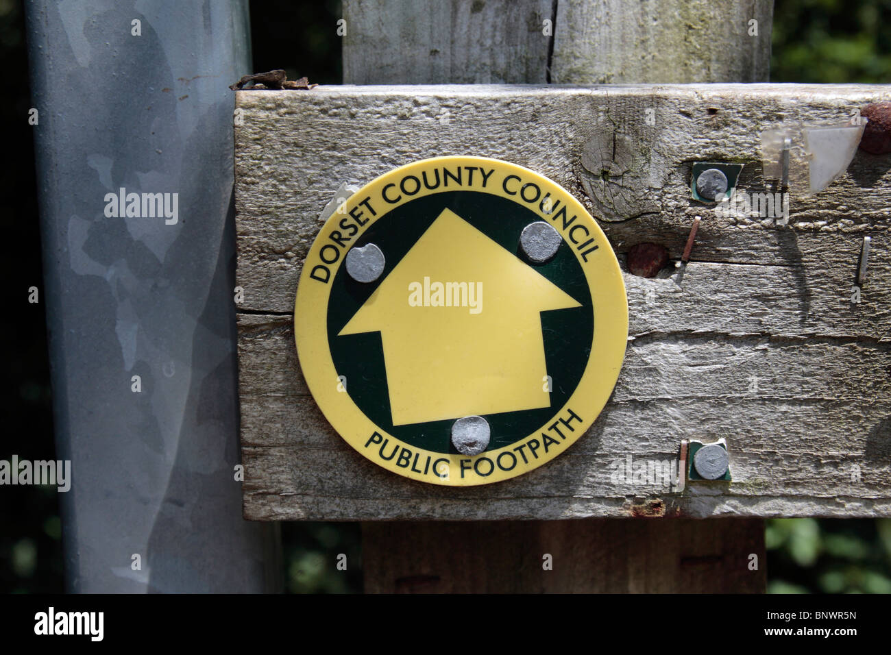 Dorset council hi-res stock photography and images - Alamy