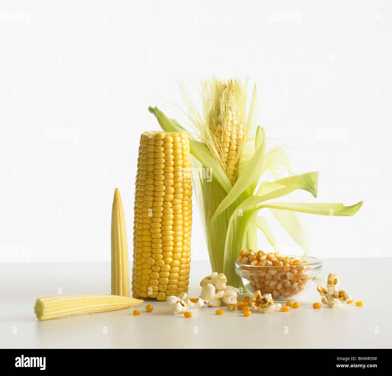 Selection of sweetcorn, baby corn and popcorn Stock Photo - Alamy