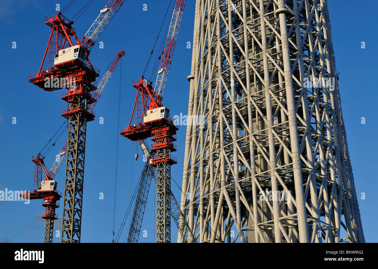 Construction cranes next to "Tokyo Sky Tree", Tokyo`s new TV tower ...
