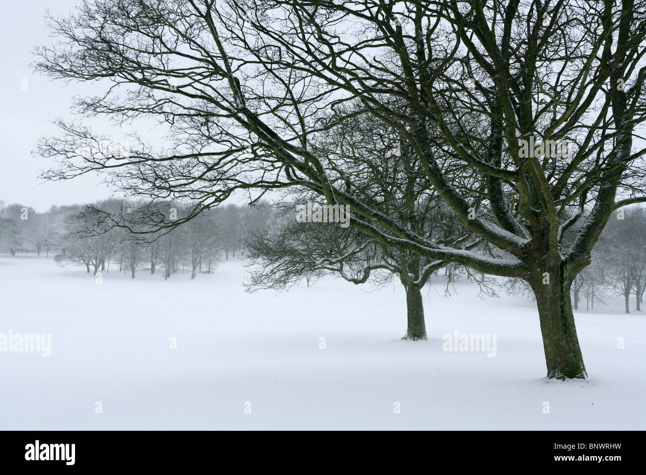 Winter scene in Beveridge Park Kirkcaldy Stock Photo - Alamy