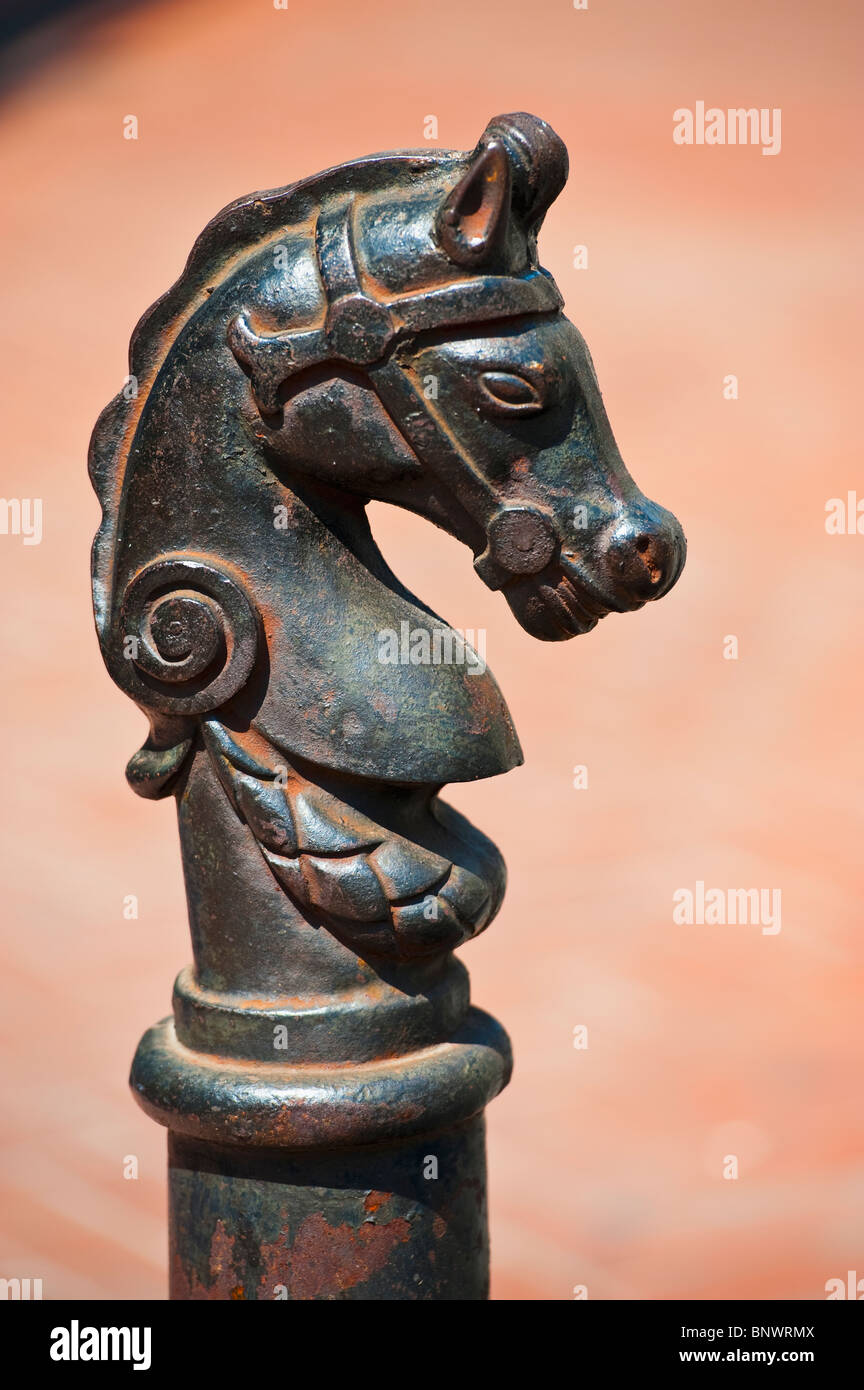 Statue Of Horse Head A3 at Christopher Adkins blog