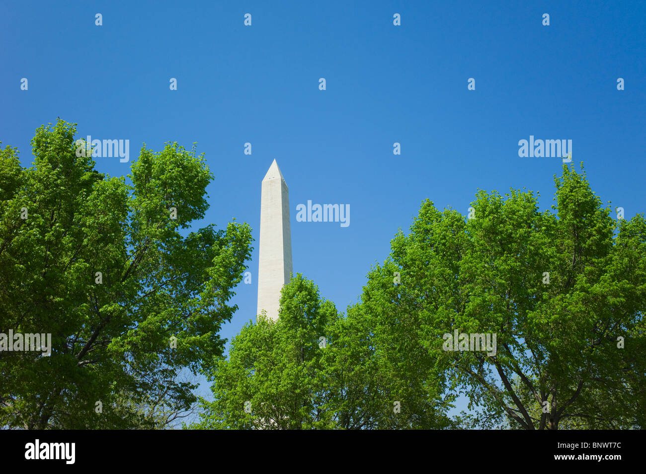 Trees in front of Washington monument Stock Photo - Alamy