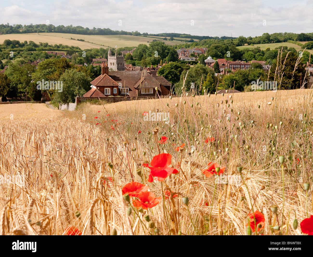 Poppies in the corn field over looking Old Amersham, Bucks, UK Stock ...