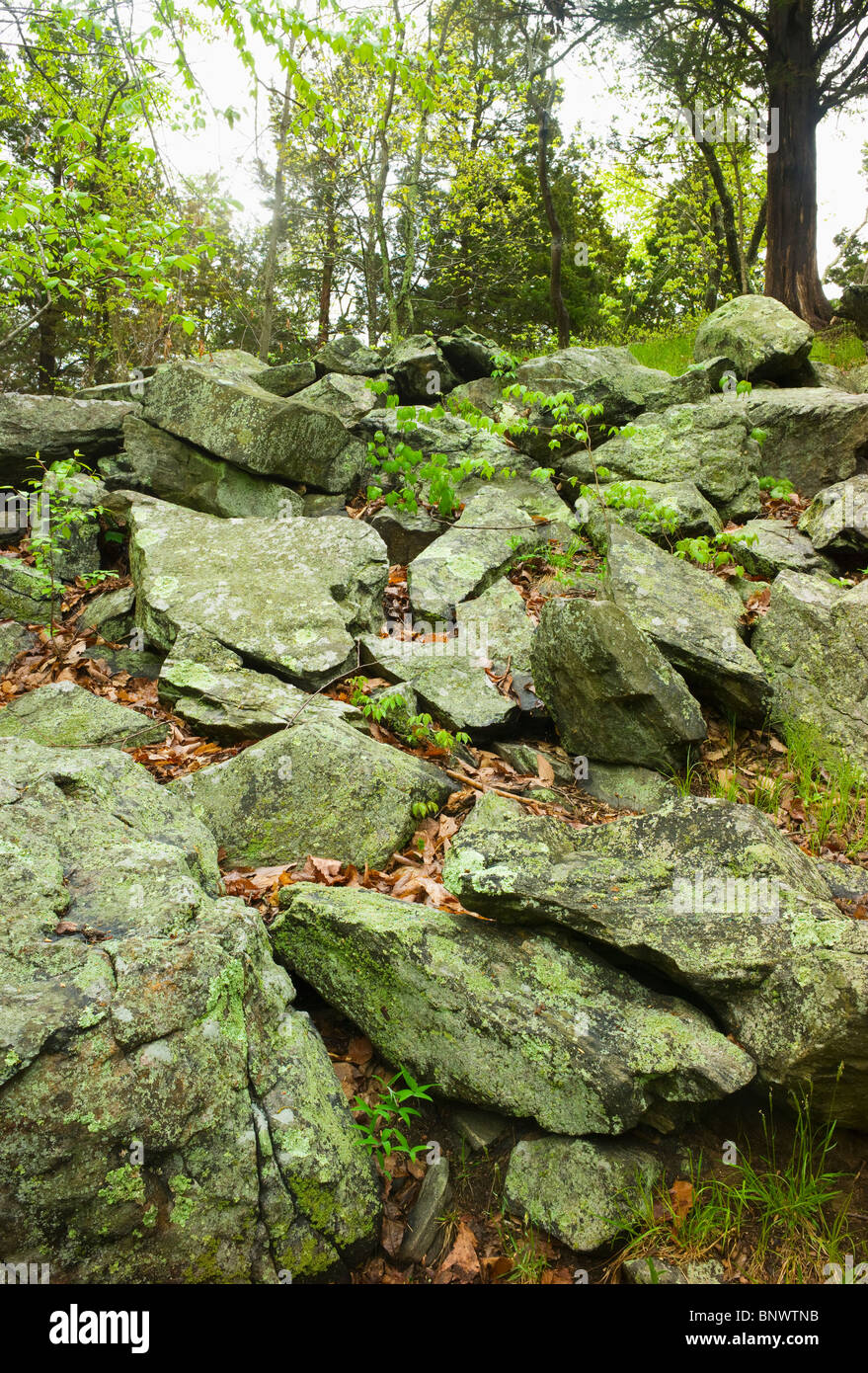 Rocks in Ward Pound Ridge Reservation Stock Photo - Alamy