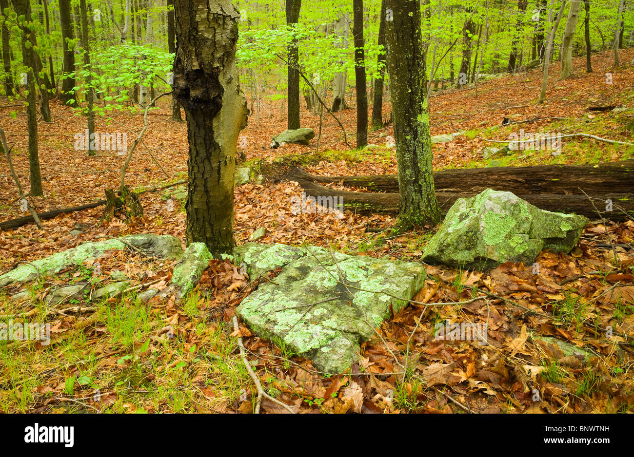 Pound ridge hi-res stock photography and images - Alamy