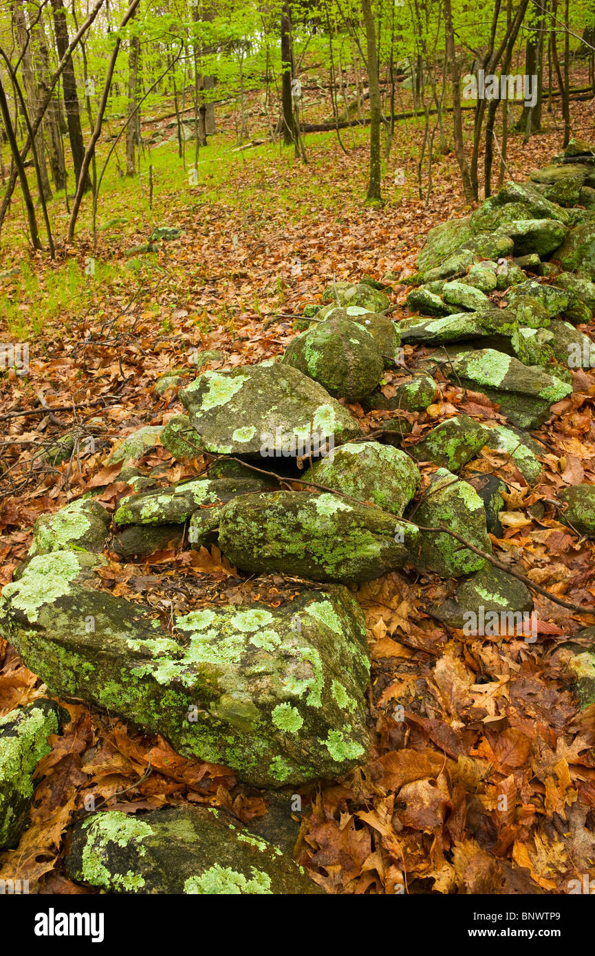 Rocks in Ward Pound Ridge Reservation Stock Photo - Alamy