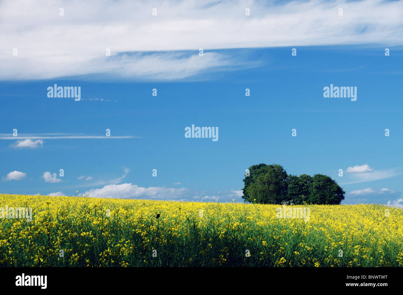 Colors of nature Stock Photo - Alamy