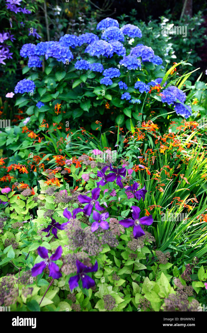 Guernsey flowers hi-res stock photography and images - Alamy