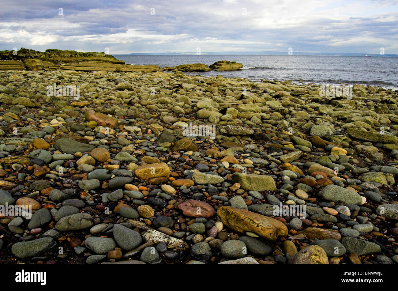 Pebble beach at Dysart, Fife Stock Photo - Alamy