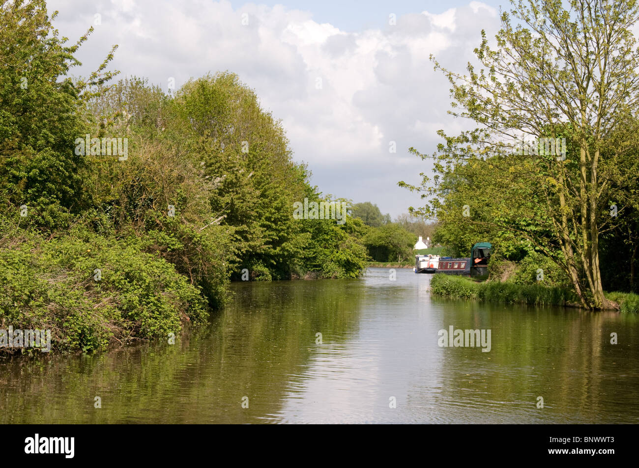 A view looking along the Stort Navigation towards Roydon, Essex Stock ...