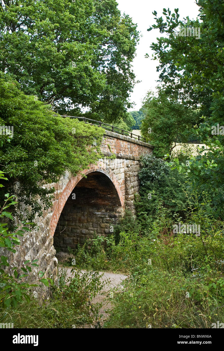 Bridge over Forest Way Stock Photo - Alamy