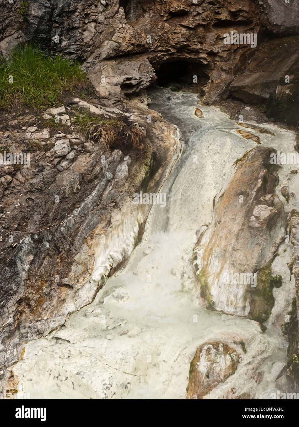 The Source of Miette Hot Springs comes out at 54c Jasper National Park ...