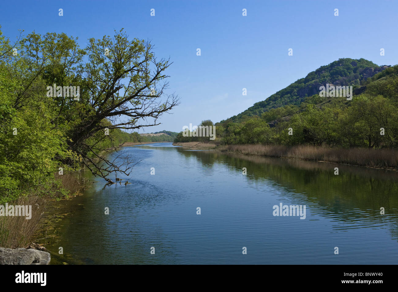 Ropotamo river, reserve on the Black Sea coast, Balkans, Bulgaria Stock ...