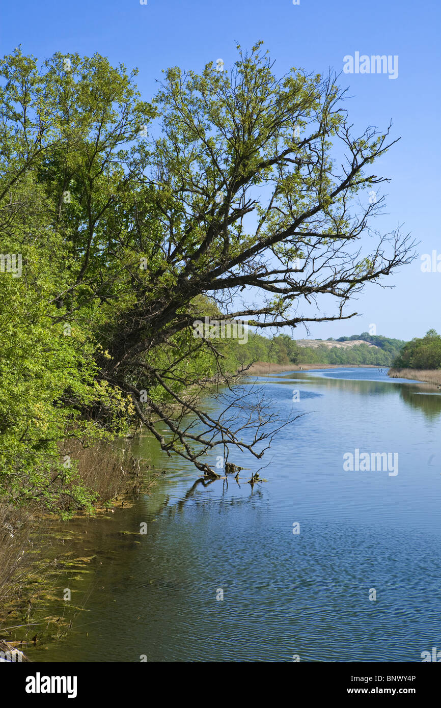 Ropotamo river, reserve on the Black Sea coast, Balkans, Bulgaria Stock ...