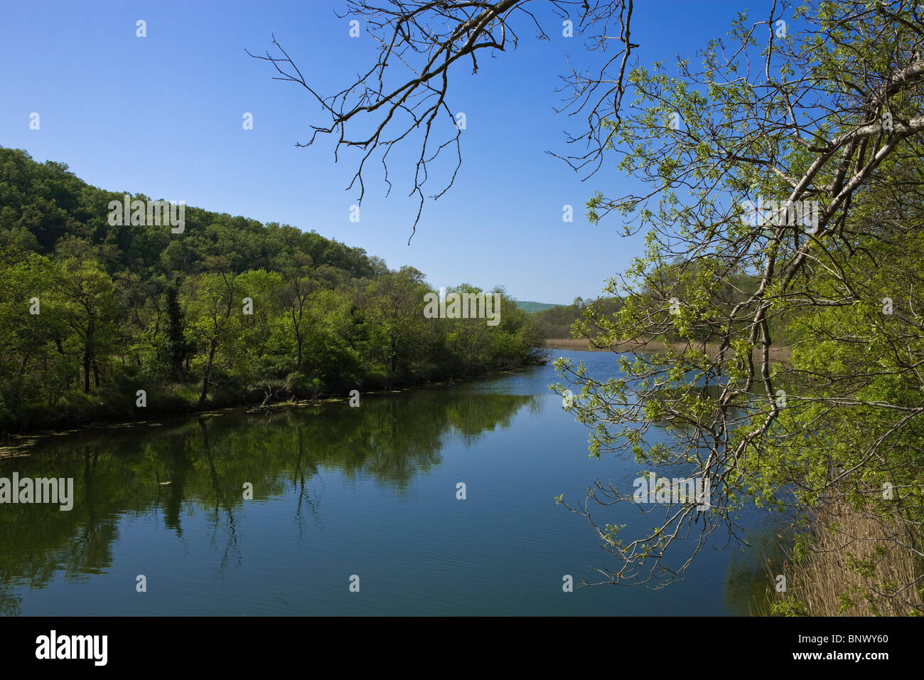 Ropotamo river, reserve on the Black Sea coast, Balkans, Bulgaria Stock ...