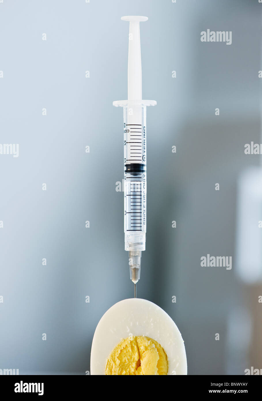 Syringe in a sliced egg Stock Photo - Alamy