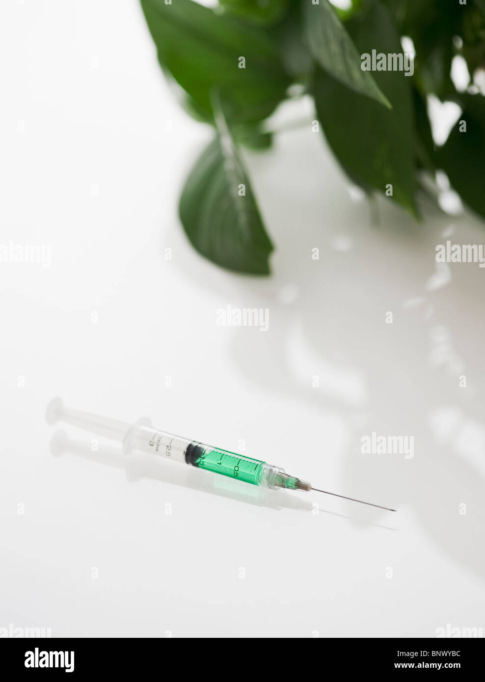 Syringe filled with green liquid Stock Photo - Alamy
