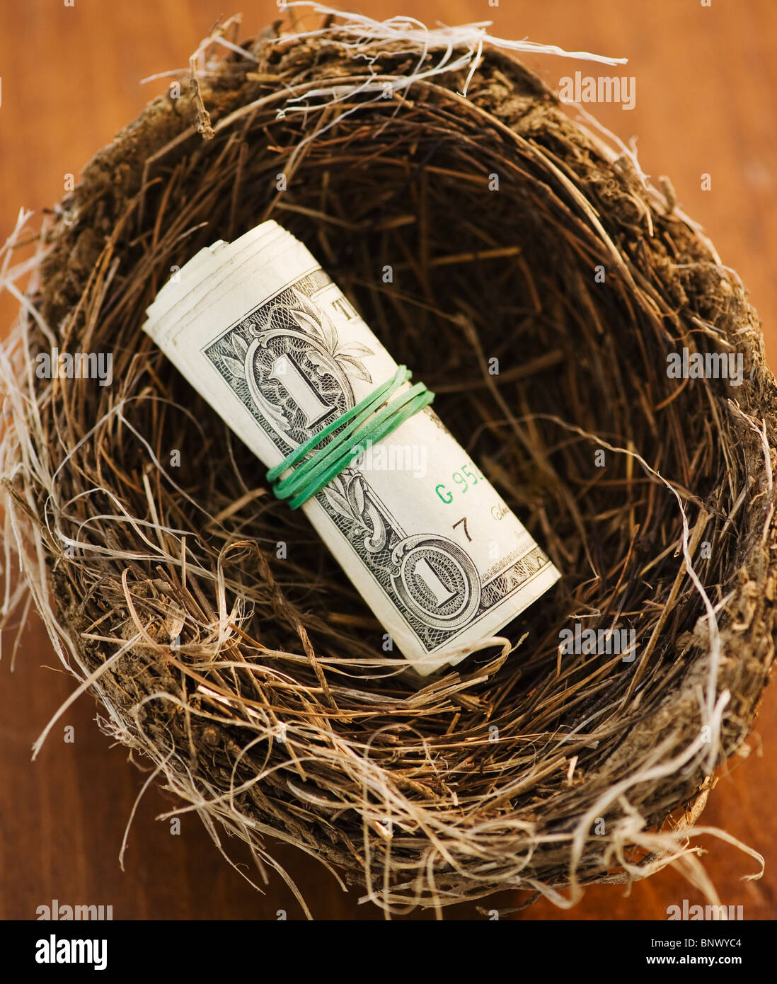 Wad bird hi-res stock photography and images - Alamy