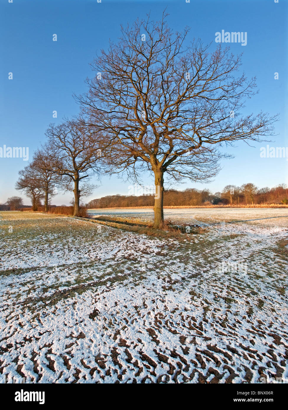Lindsell essex hi-res stock photography and images - Alamy