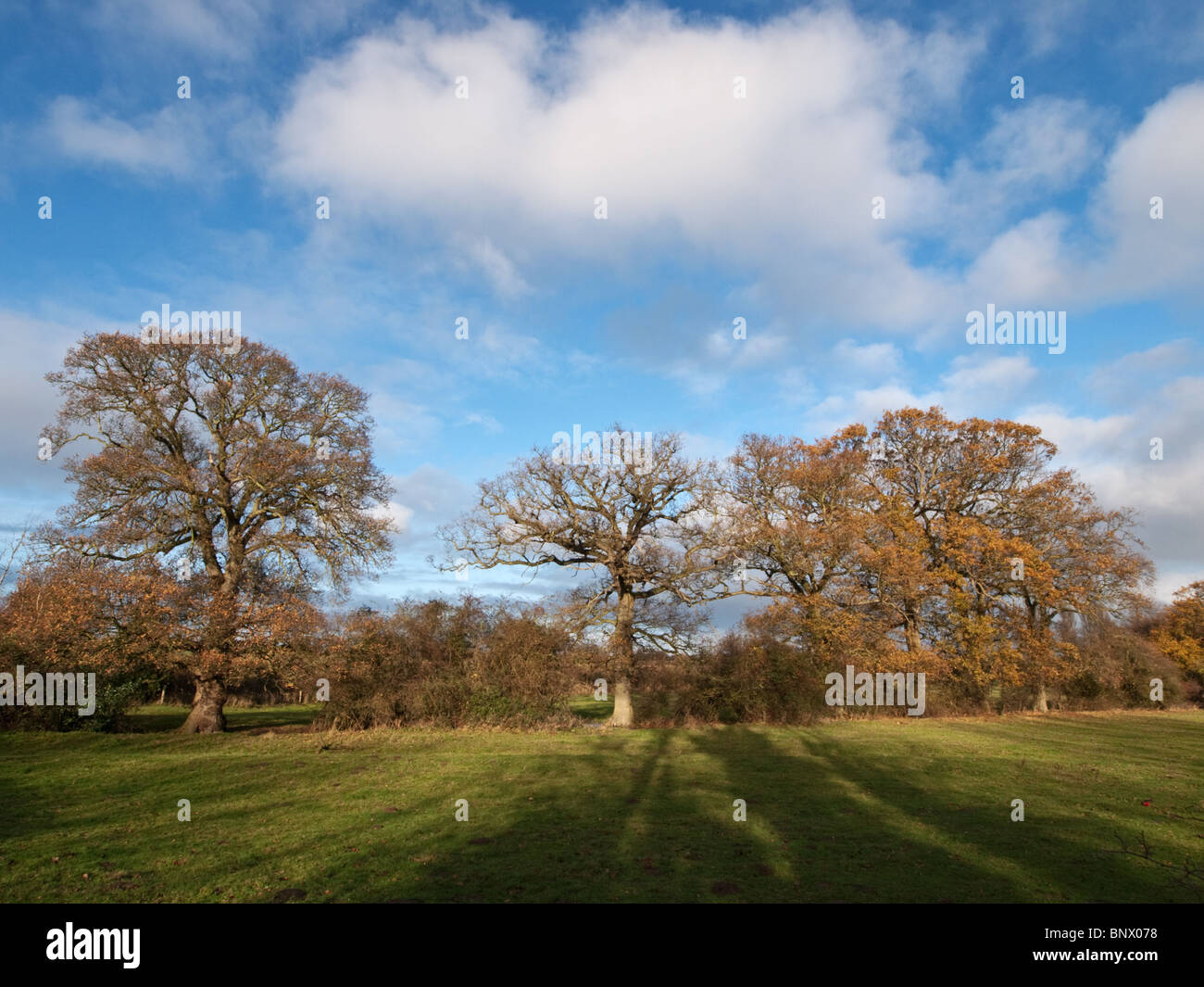 Suffolk landscape hi-res stock photography and images - Alamy