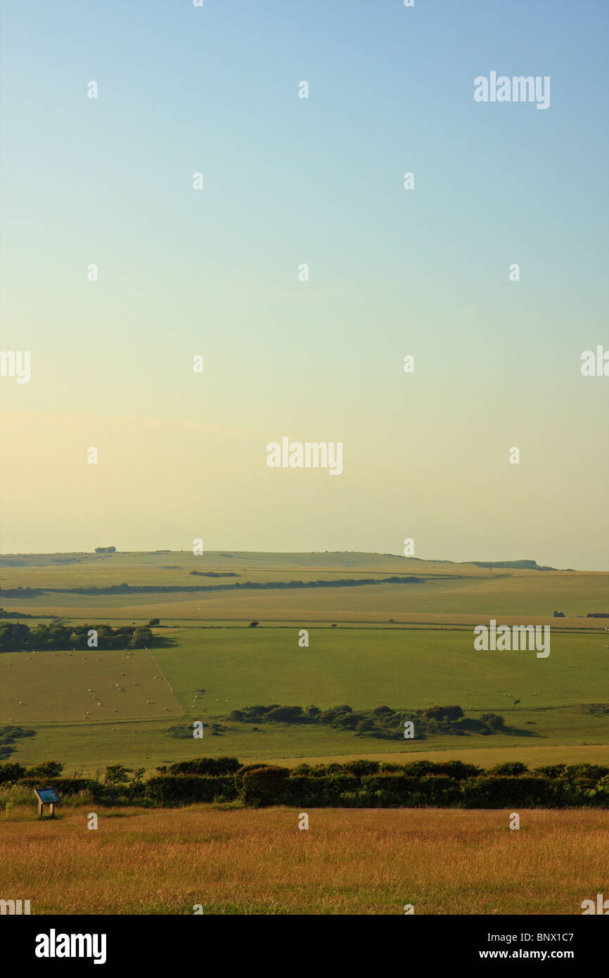 Fields and meadows before sunset Stock Photo - Alamy