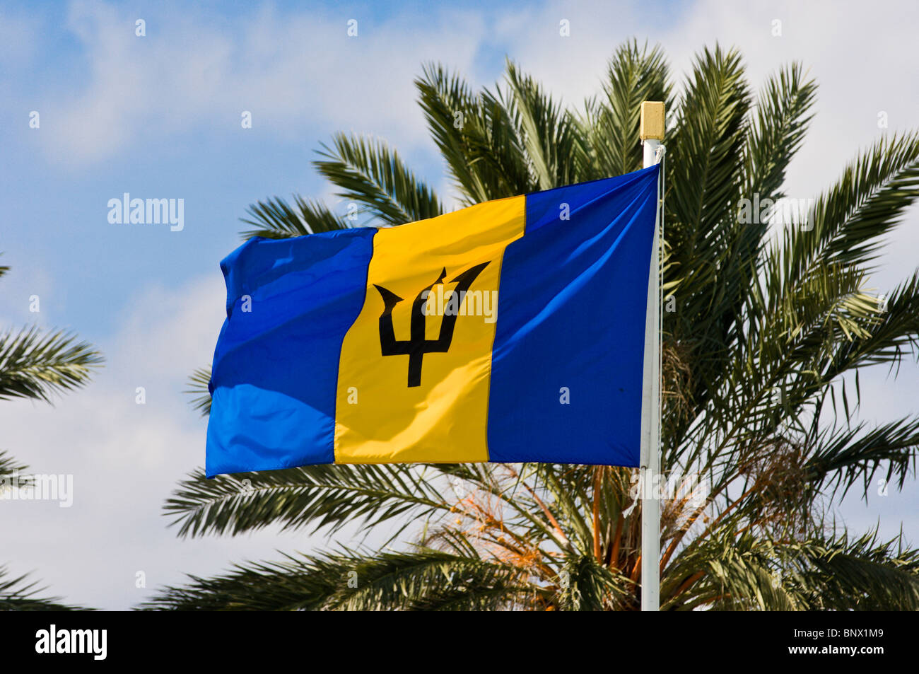 Barbadian flag hi-res stock photography and images - Alamy