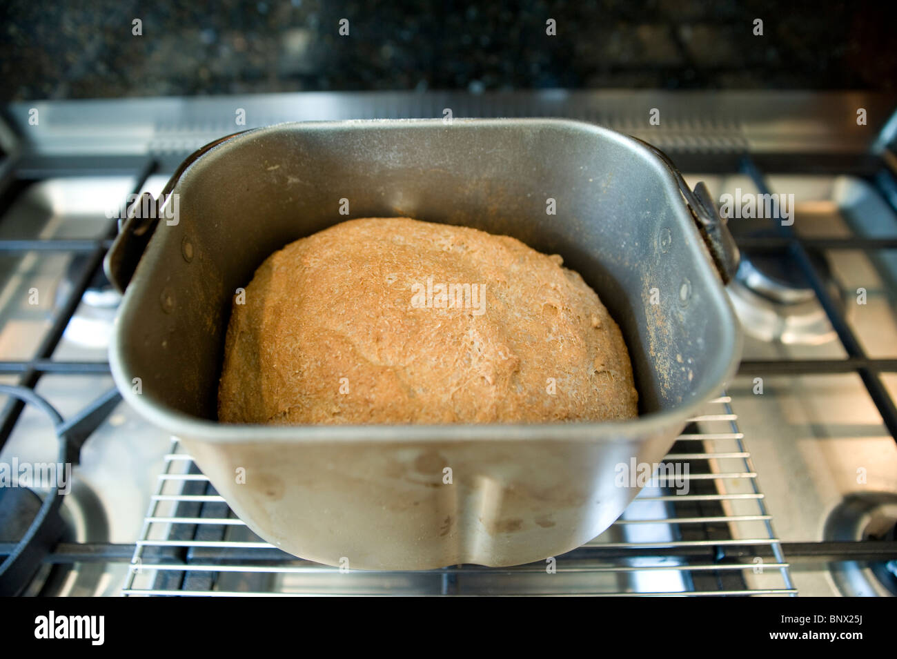 A homemade wholemeal bread, still in the tin but out of the bread maker ...