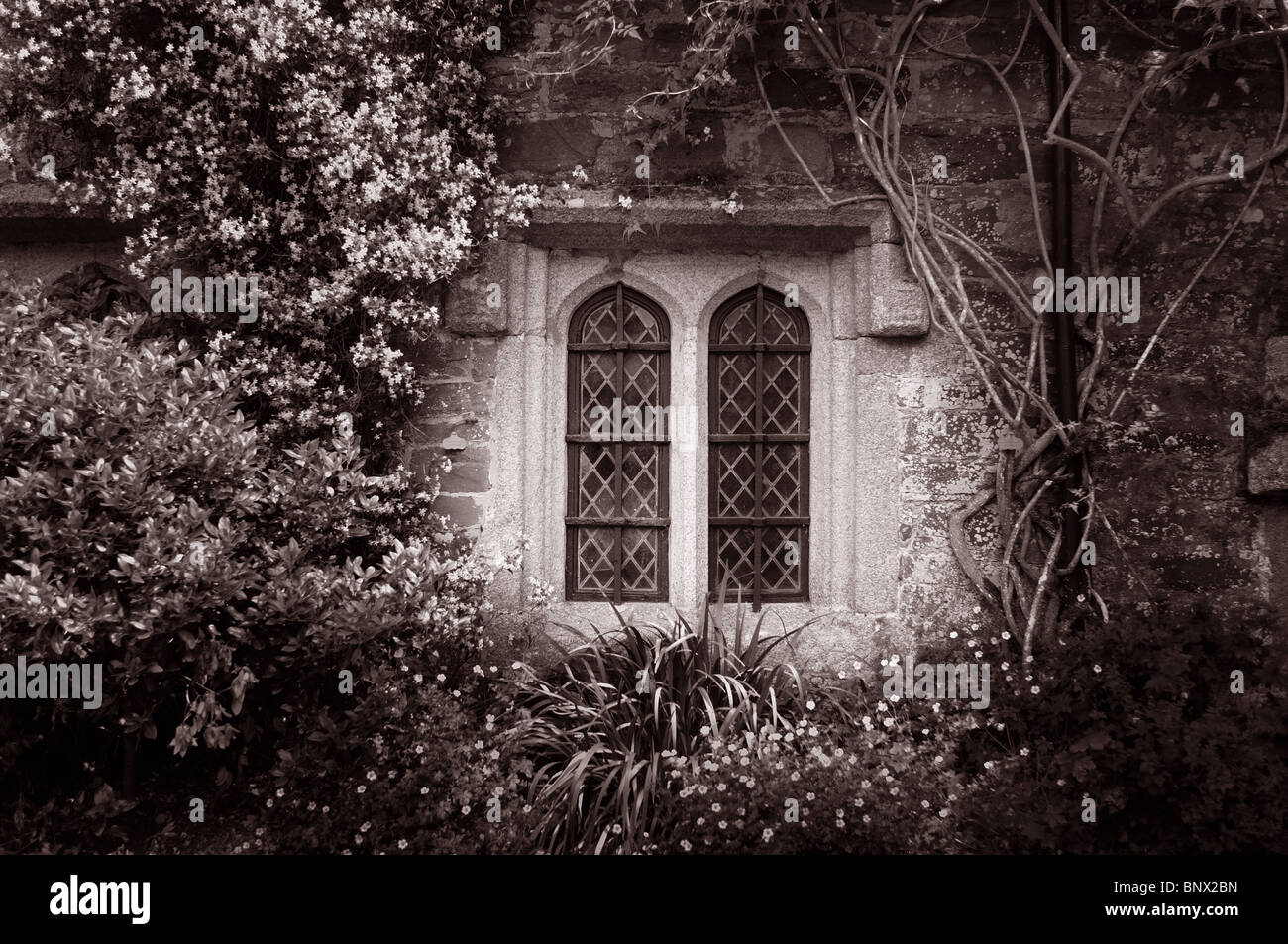 Ancient daylight and gothic architecture hi-res stock photography and ...