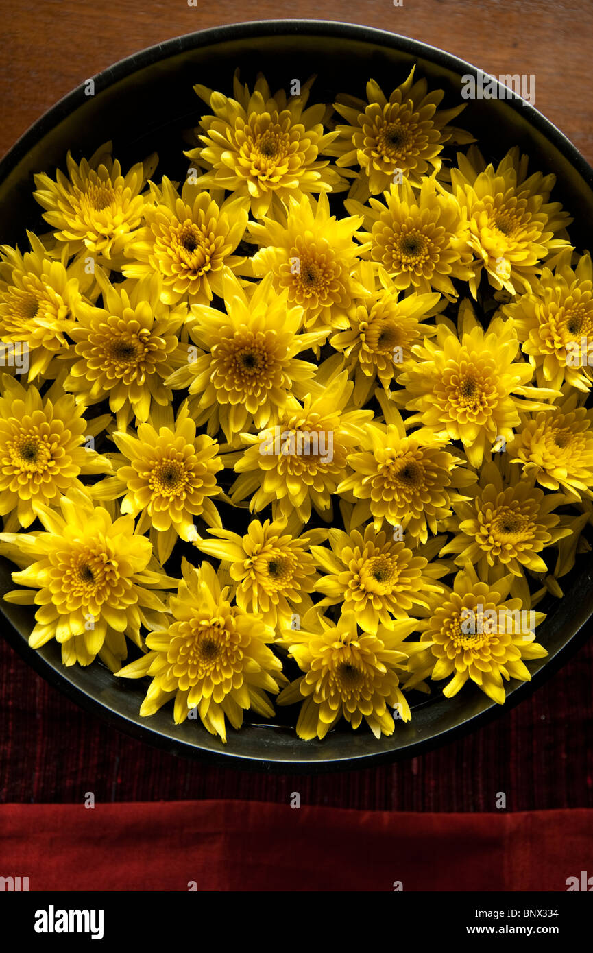 Bowl of flower blooms floating in water at the Vijitt Resort, Phuket ...