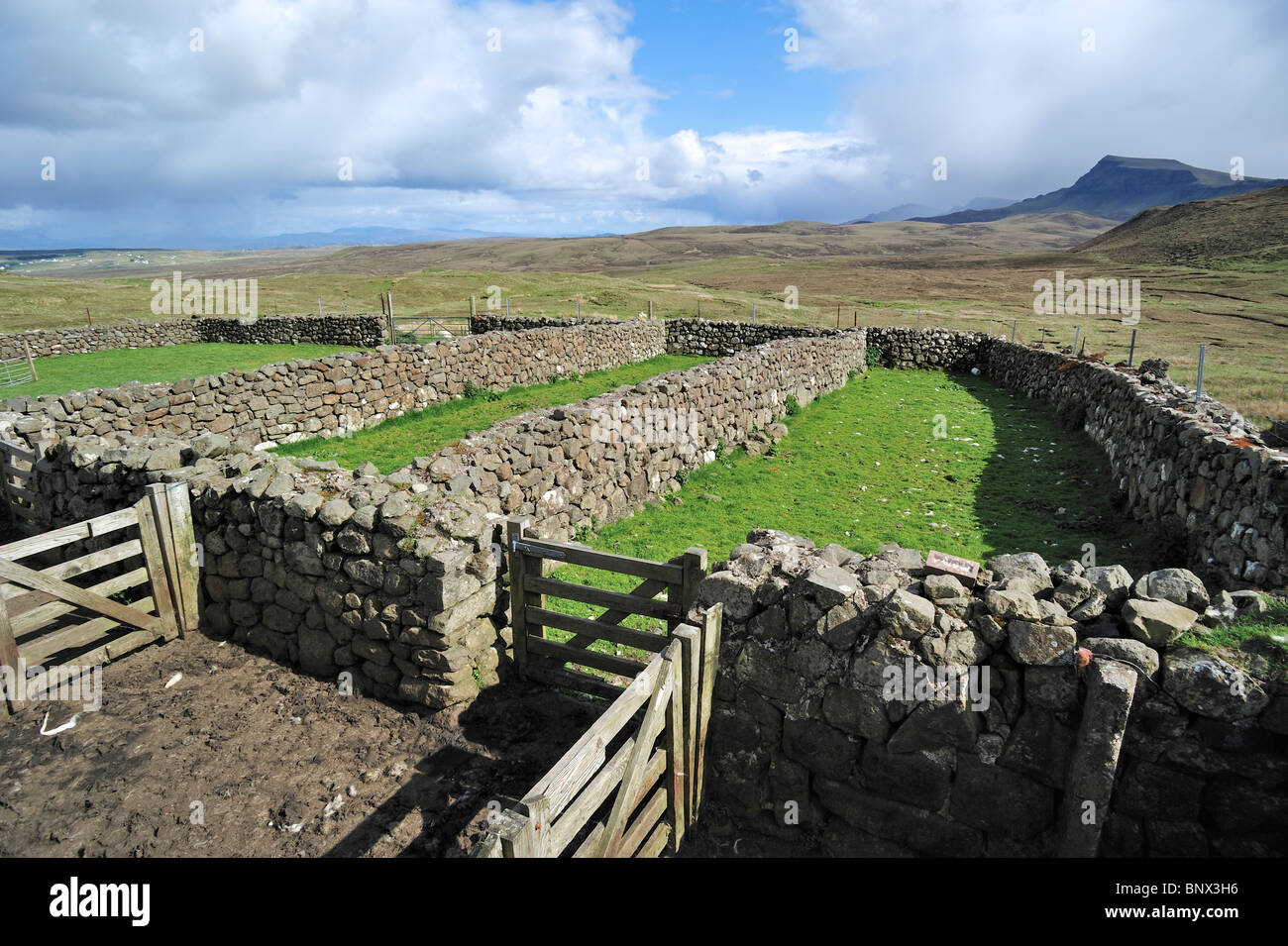 Ancient Sheep Pen