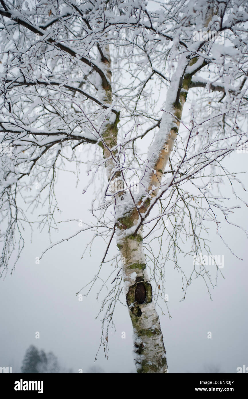 A snowy landscape in Byron Park, Harrow, a borough of London Stock ...