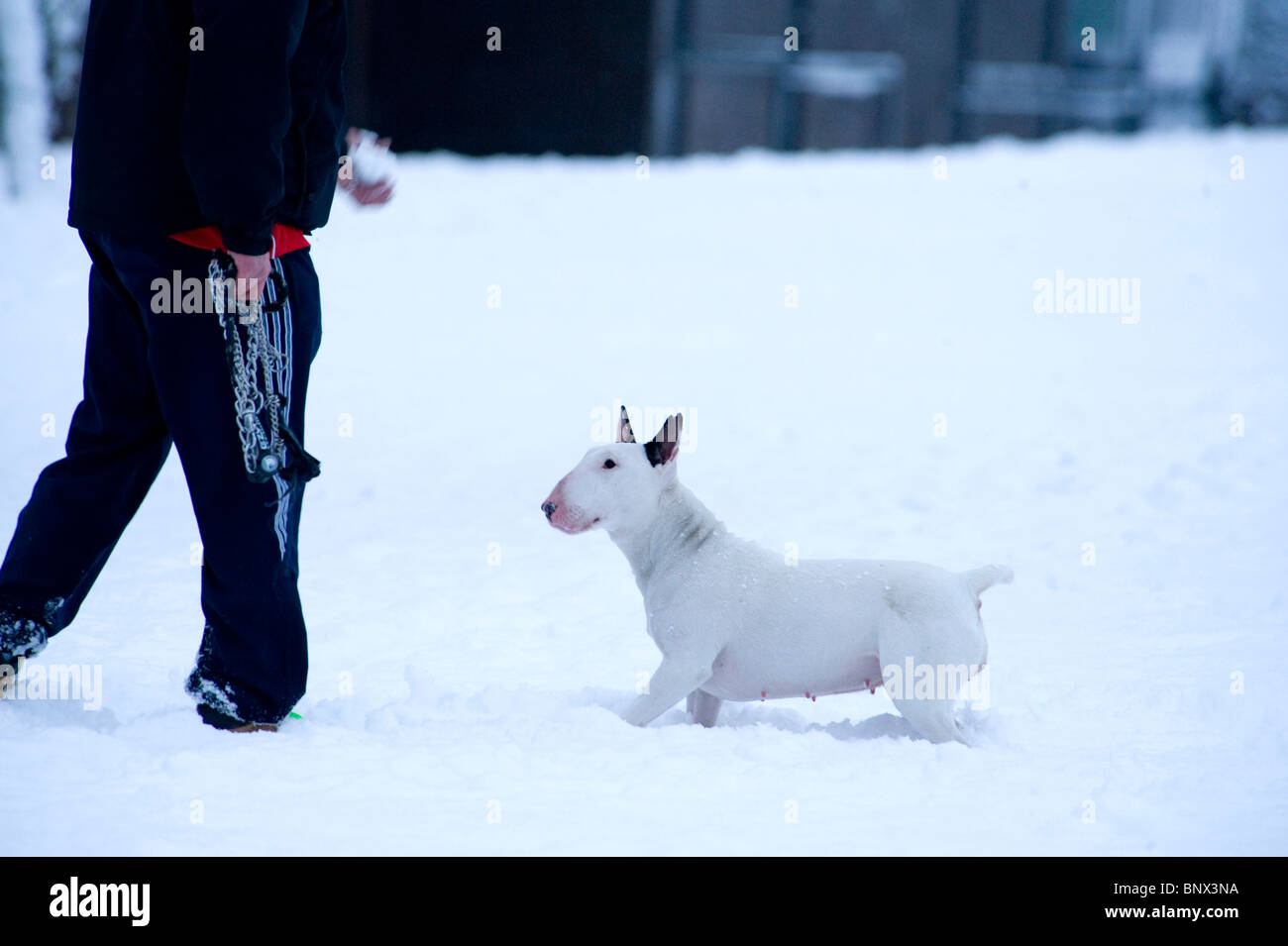 Chav hi-res stock photography and images - Alamy