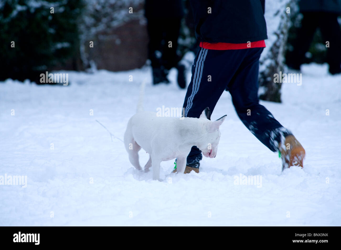 Chav hi-res stock photography and images - Alamy