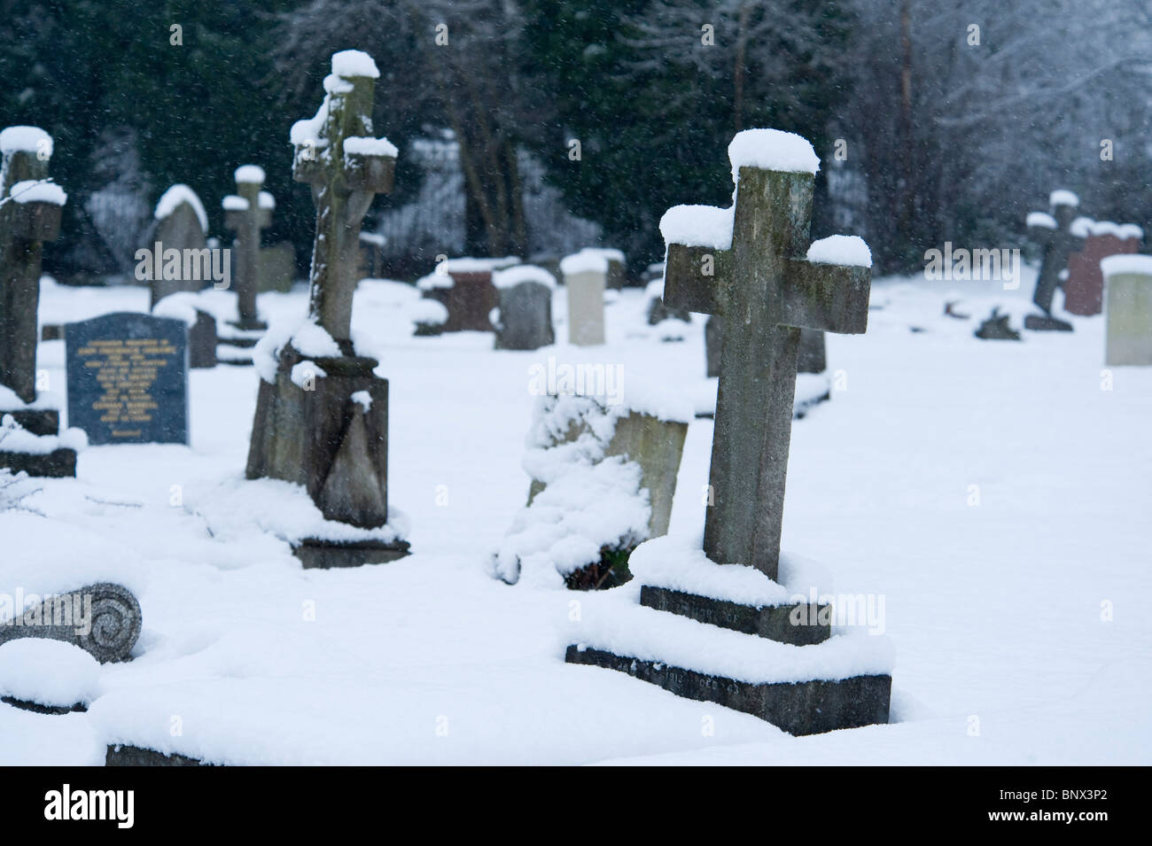 Spooky london park hi-res stock photography and images - Alamy