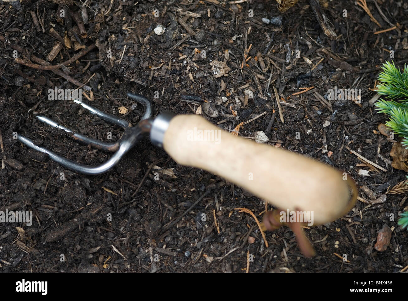 Hand fork digging over soil Stock Photo - Alamy