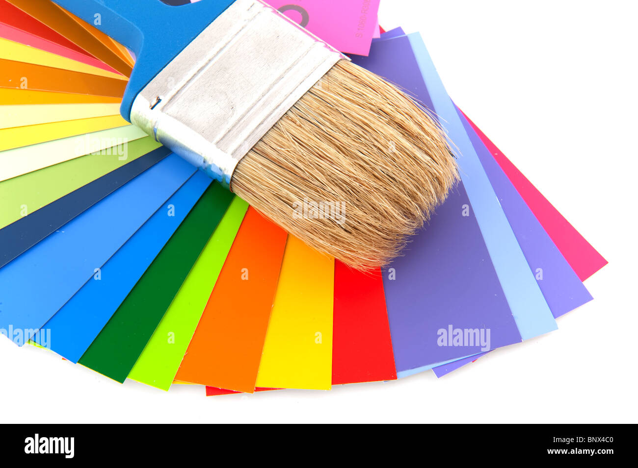 Painting with brush and many color samples to choose Stock Photo - Alamy
