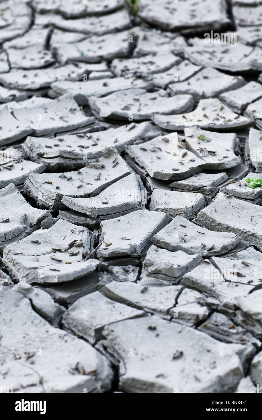 Dry cracked clay mud during a recent drought Stock Photo - Alamy