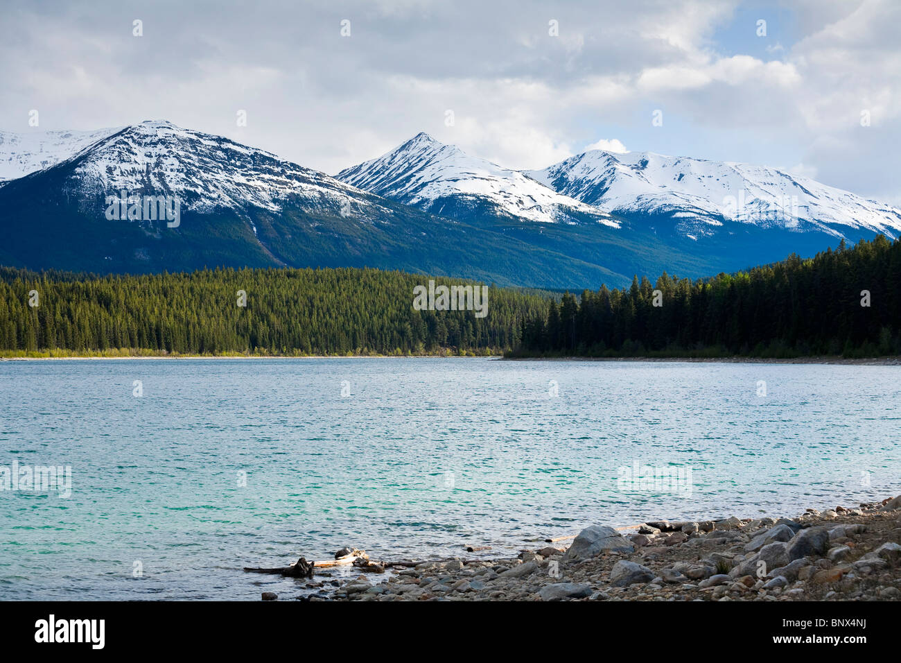Indian ridge jasper hi-res stock photography and images - Alamy