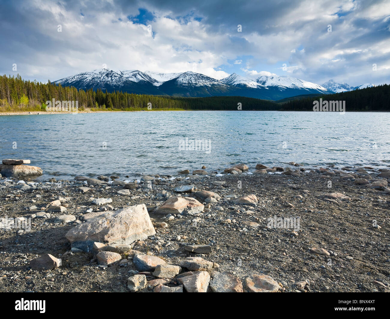 Indian ridge jasper hi-res stock photography and images - Alamy