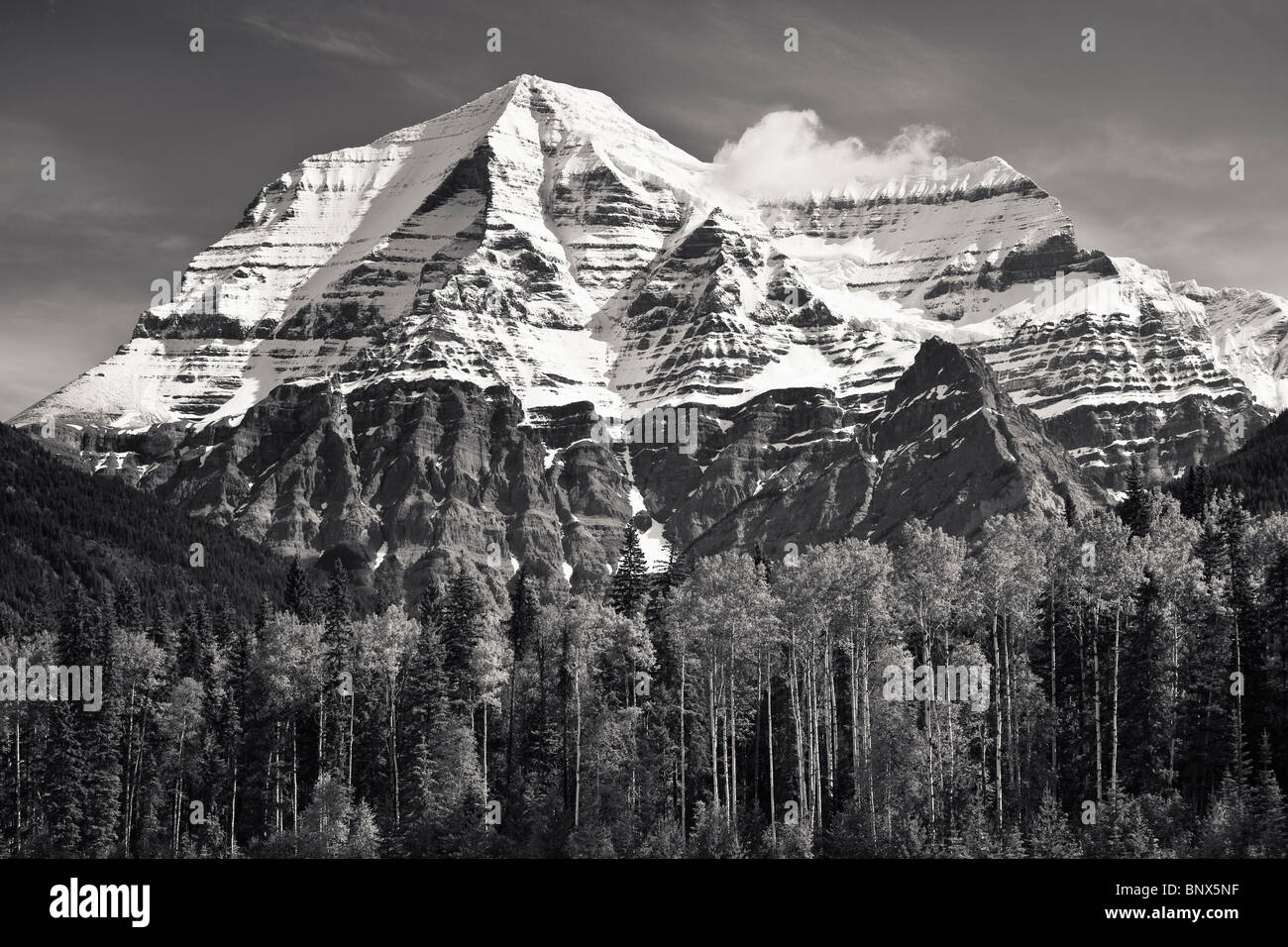 Mount robson canadian rockies hi-res stock photography and images - Alamy