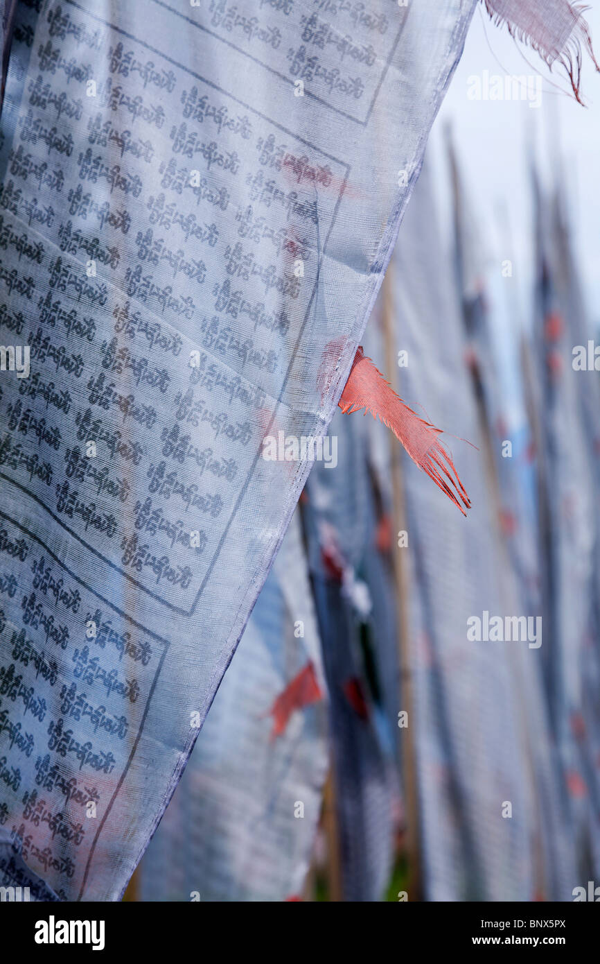 India - Sikkim - the Buddhist Labrang Monastery - prayer flags Stock ...