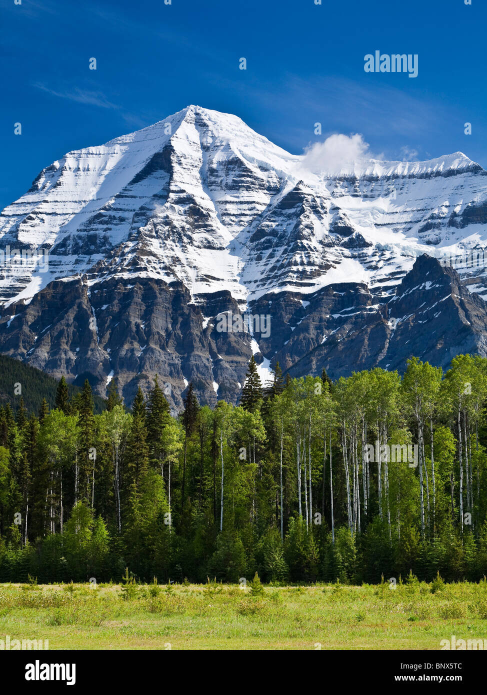 Mt Robson 3954m the highest point in Canadian Rockies viewed from the ...
