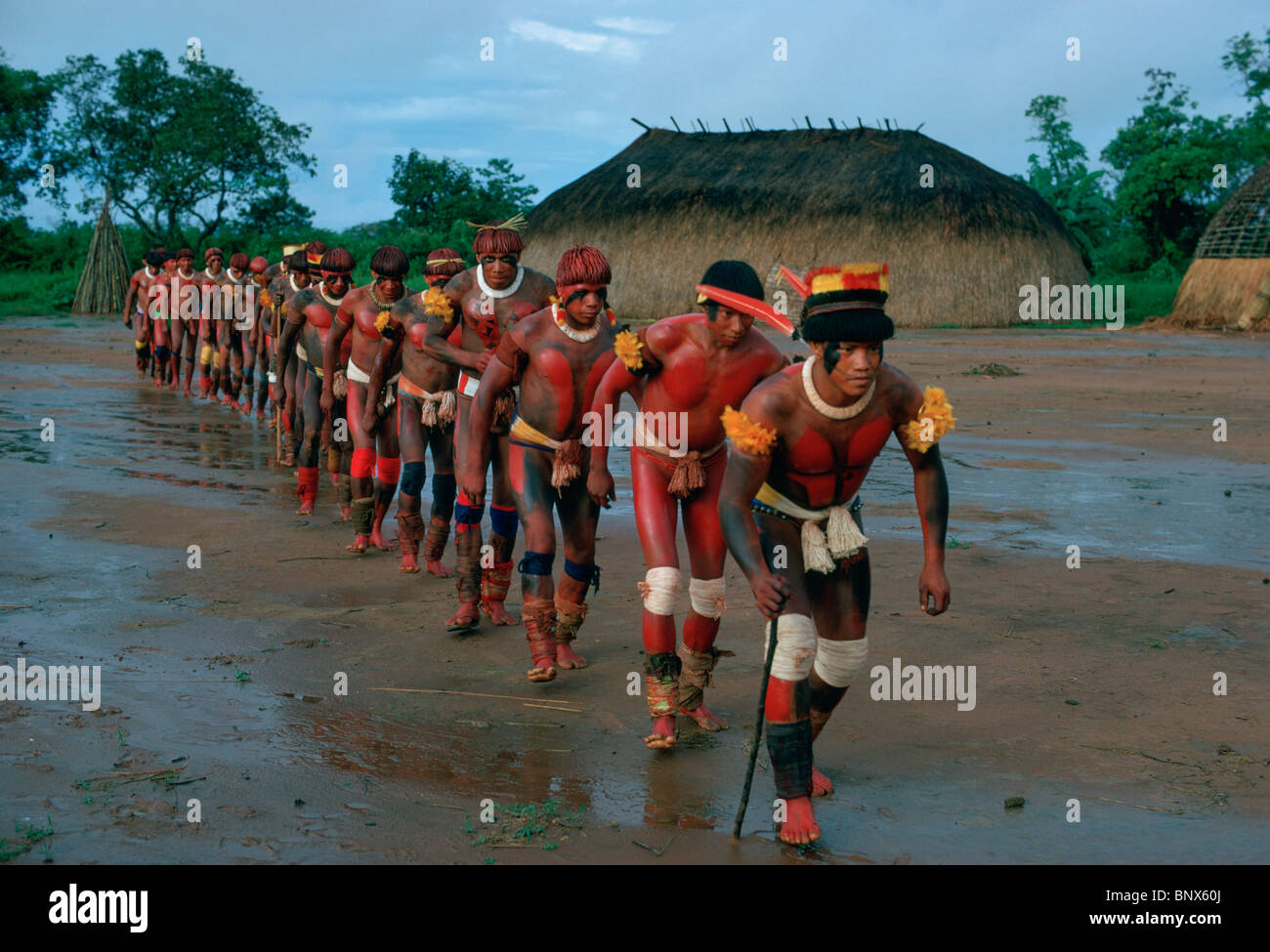 Kuikuro tribe warriors dance in the rain in the upper Xingu, Matto ...