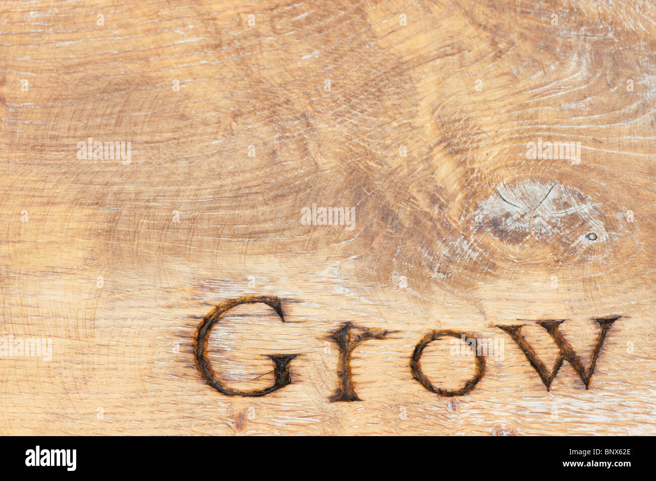 Grow word hi-res stock photography and images - Alamy